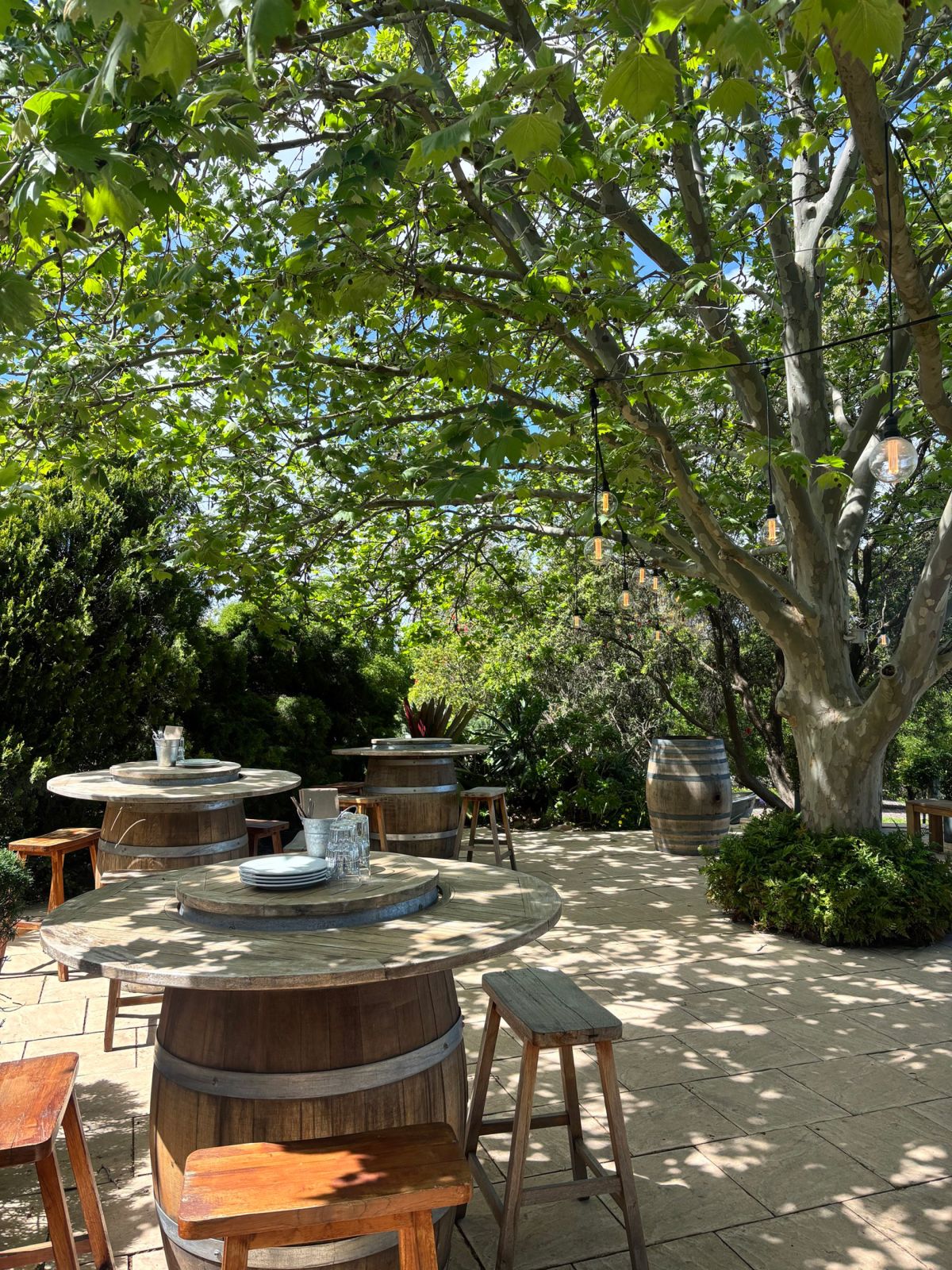 The Best McLaren Vale Wineries To Suit Every Taste | Australian Traveller