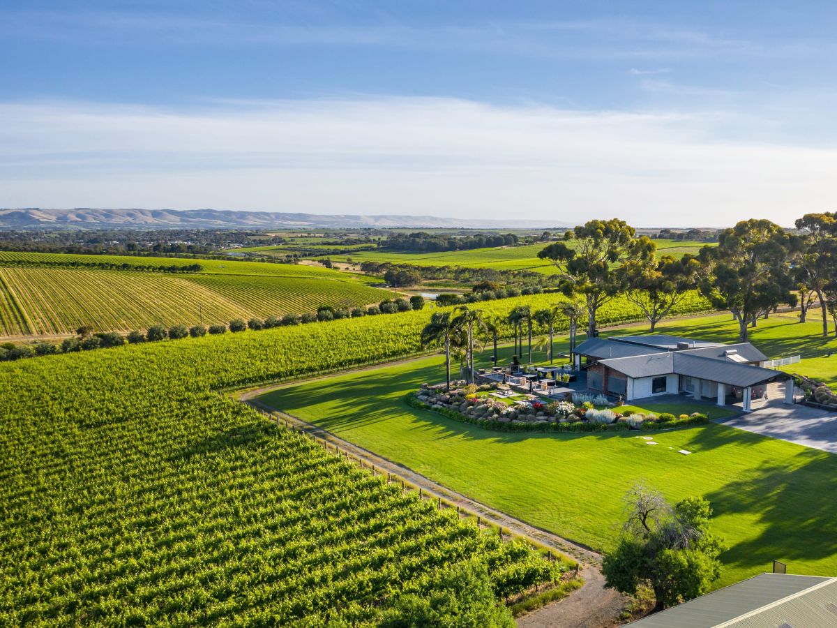 The Best McLaren Vale Wineries To Suit Every Taste | Australian Traveller