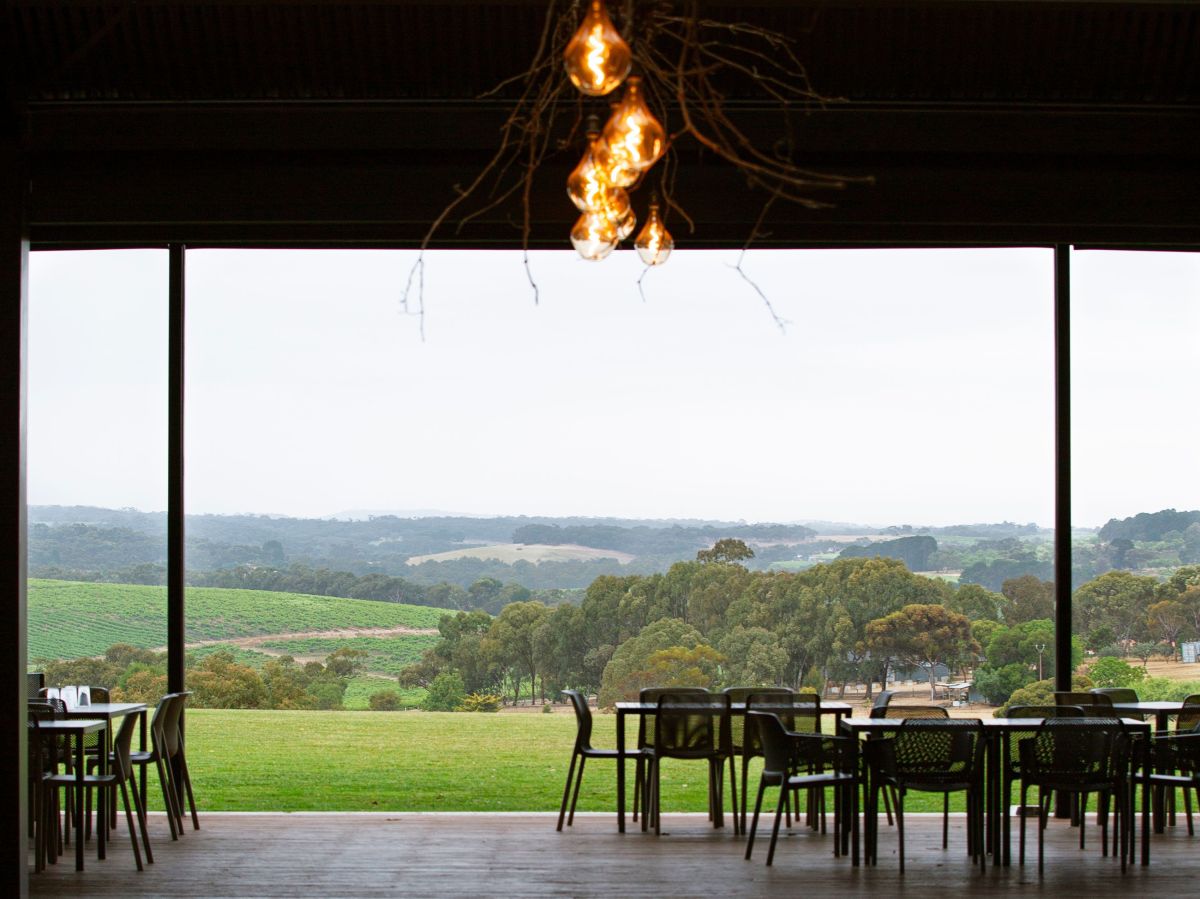 The Best McLaren Vale Wineries To Suit Every Taste | Australian Traveller
