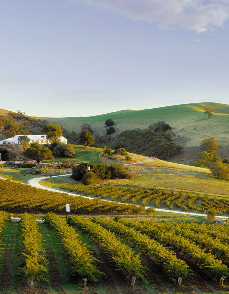 How To Get From Adelaide To Barossa Valley - Australian Traveller