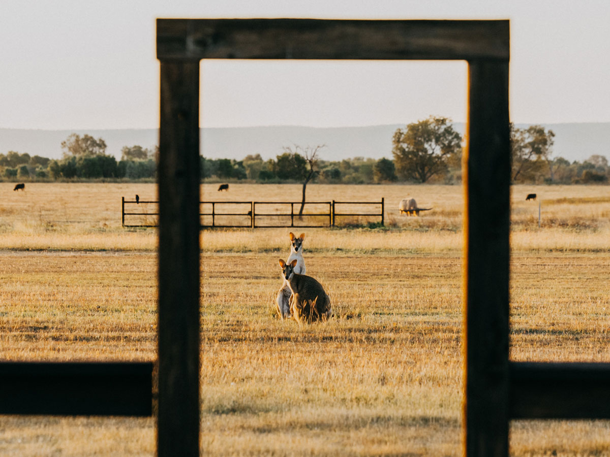 A Luxe Country Stay At Bullo River Station | Australian Traveller