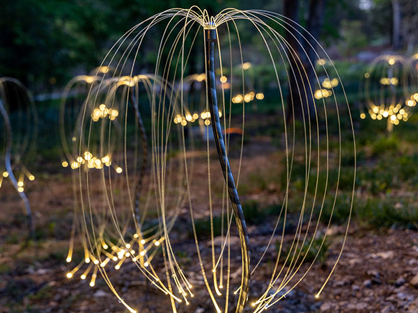 Mildura gets a glow-up with all-new Bruce Munro light installation