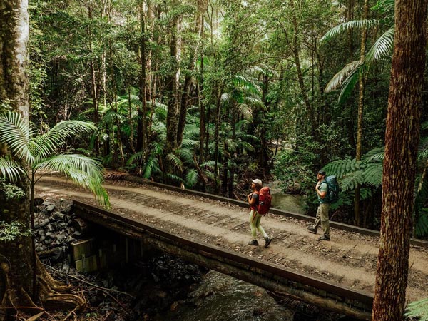 This NSW hike is a 4-day walk through ancient volcano lands