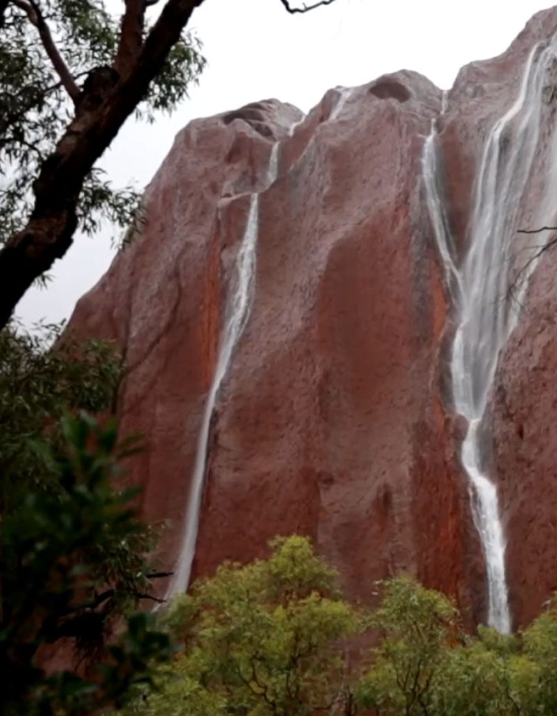 Inside Uluṟu's spectacular installation: Field of Light
