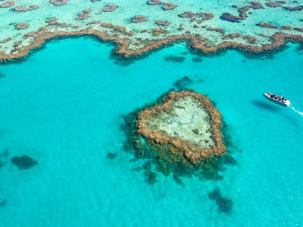 12 Great Barrier Reef facts to help you plan a bucket list adventure