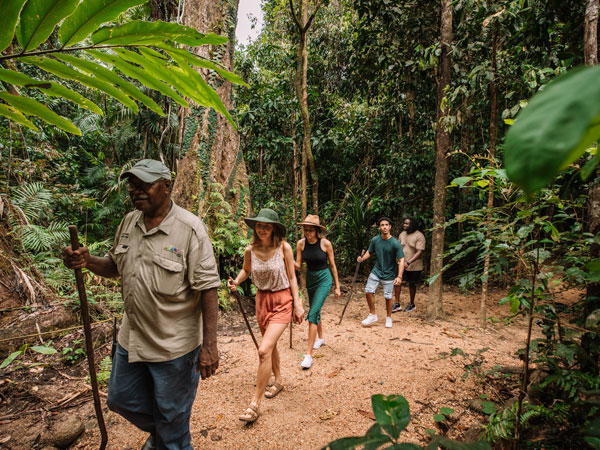 10 of the most scenic Daintree walks