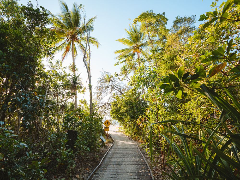 10 of the most scenic Daintree walks