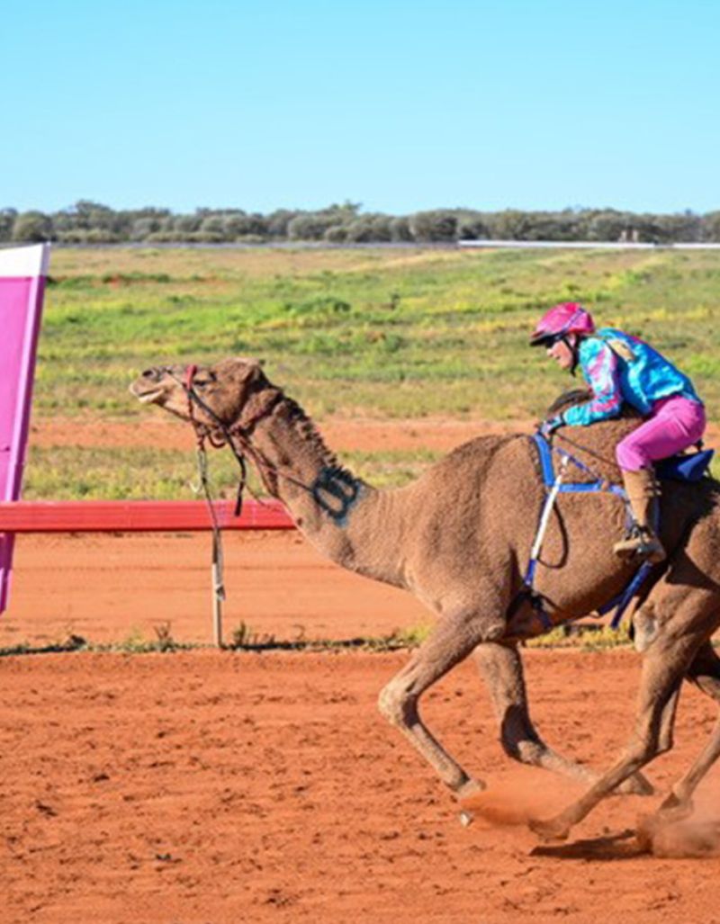 The Ultimate Guide To Winton | Australian Traveller