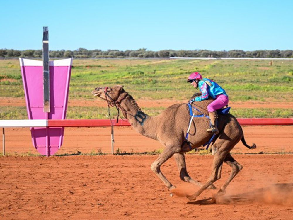 Desert Champions Way: the new trail in Outback Queensland
