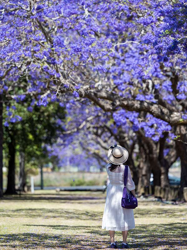 14 Sydney high teas that redefine afternoon elegance
