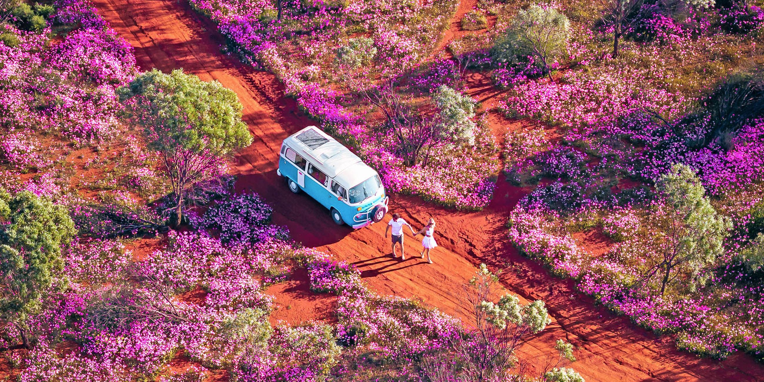 The Ultimate Guide to WA’s Wildflower Season | Australian Traveller