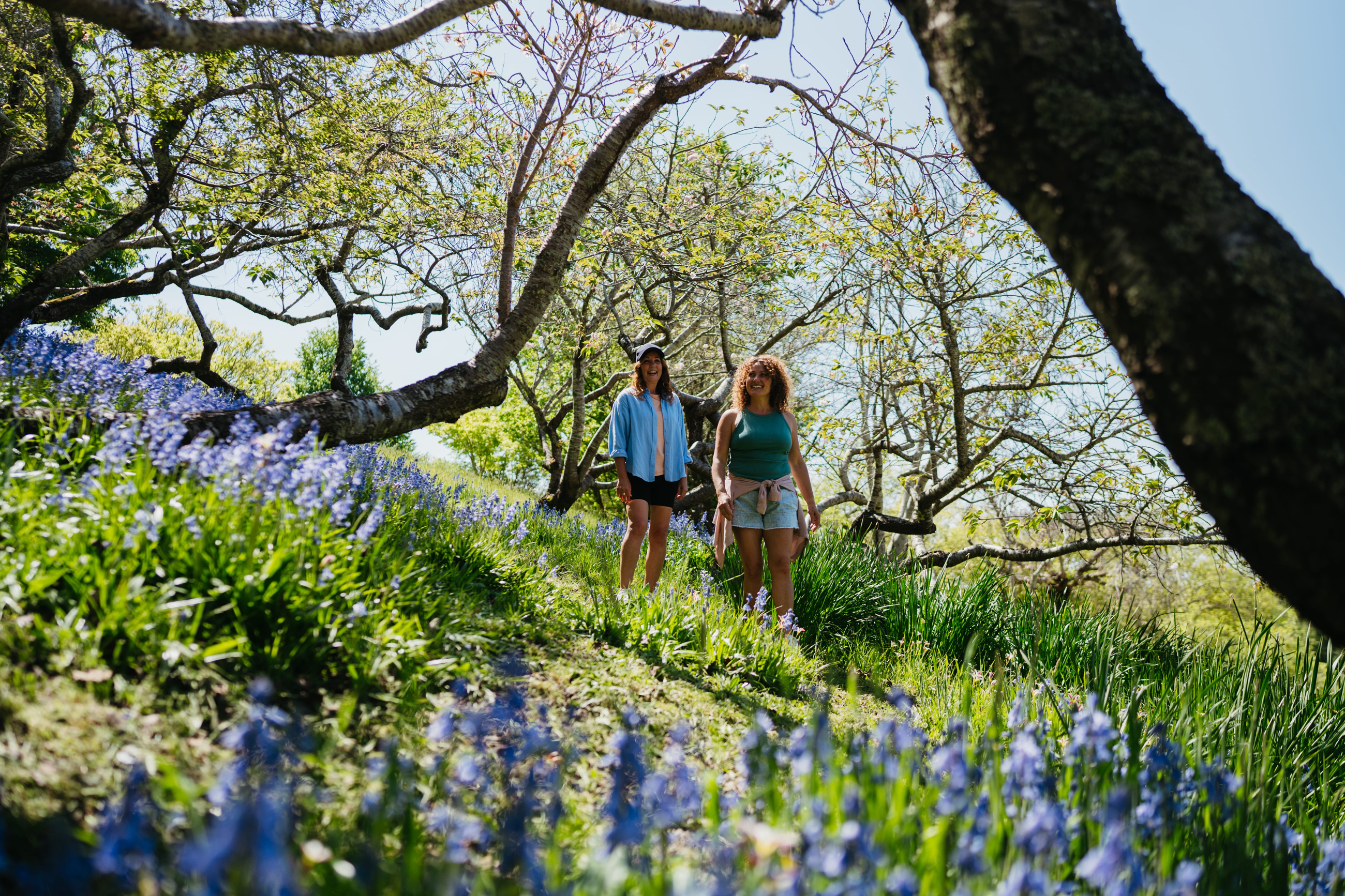 14 Best Things To Do In The Adelaide Hills | Australian Traveller