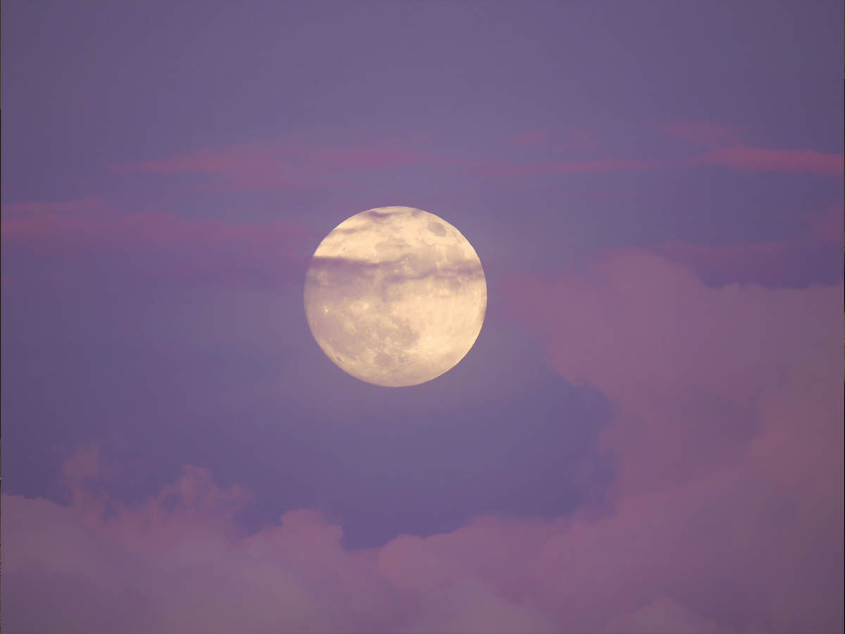 Sydney Observatory to light up for first-ever Moon Festival