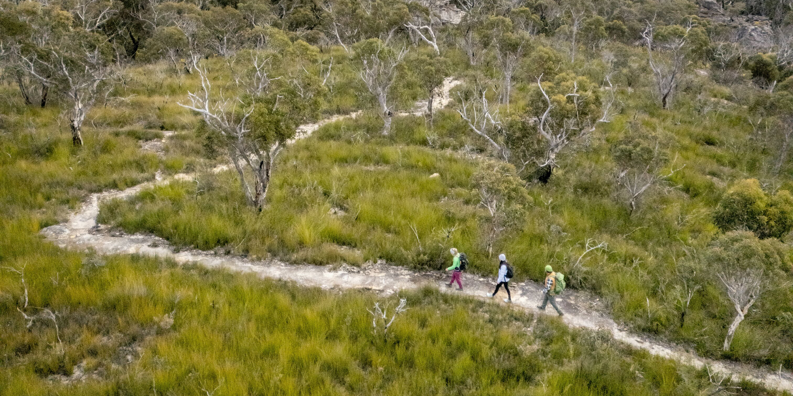 Two new scenic bushwalks have opened in NSW - Australian Traveller