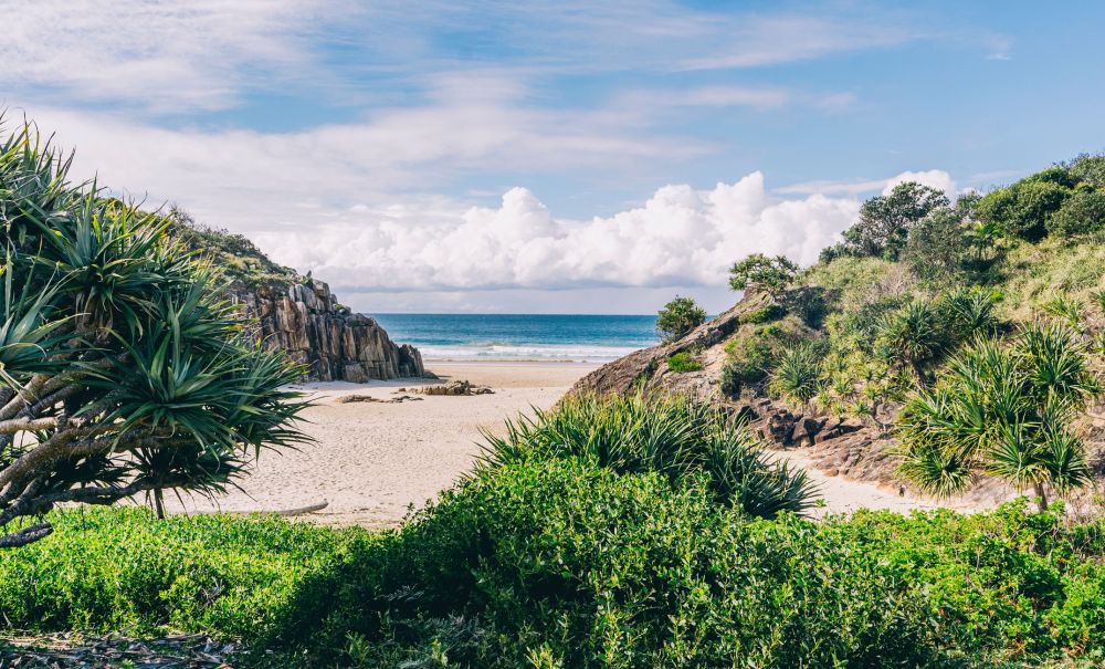 NSW North Coast Guide & Holiday Information