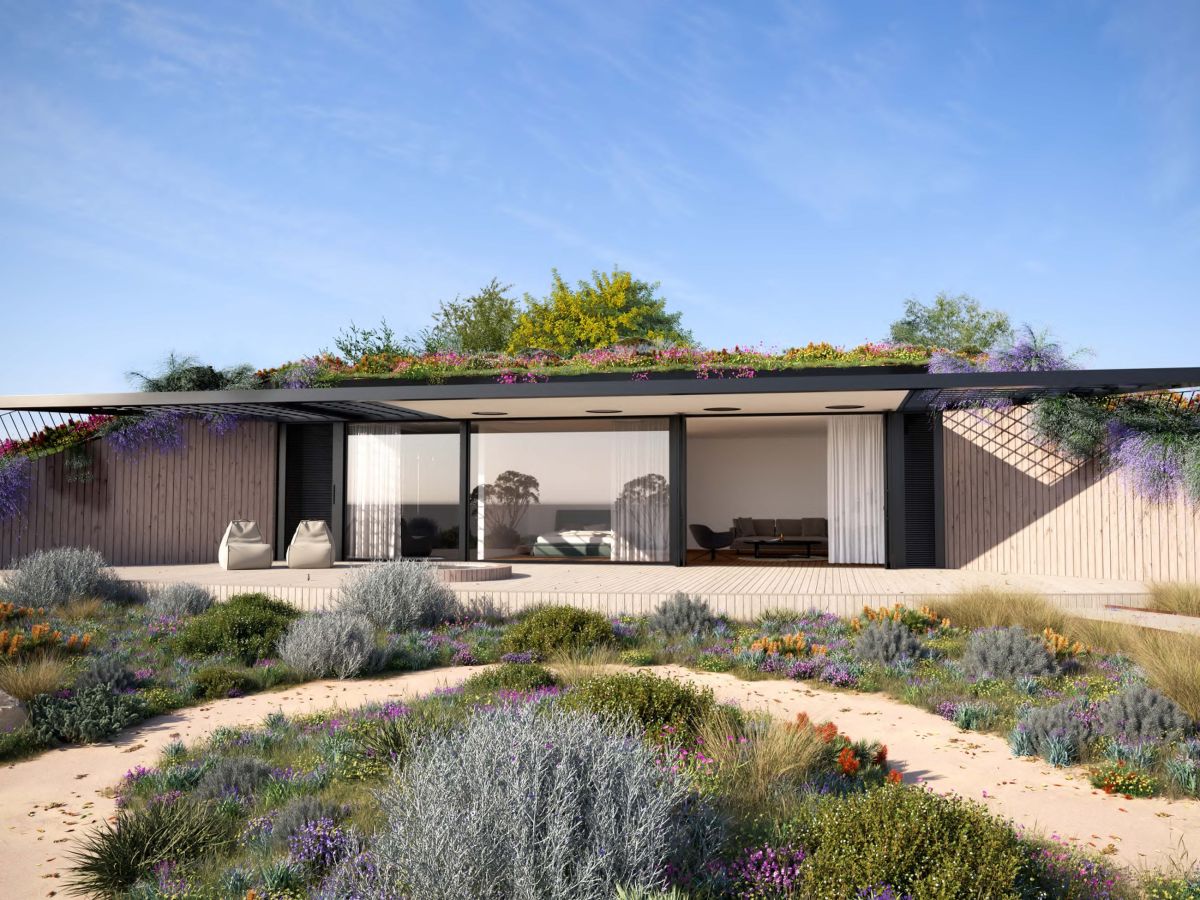 This epic Baird Bay Experience reveals SA's best-kept secret