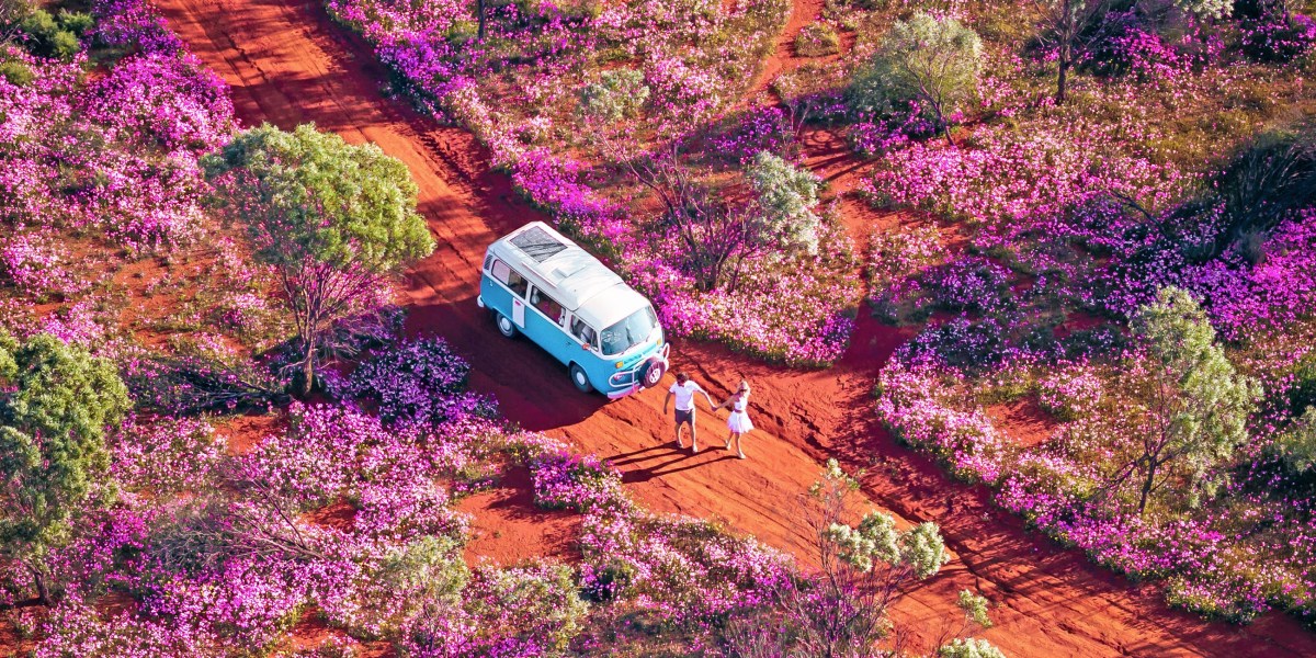 Driving Holidays & Road Trips in Australia