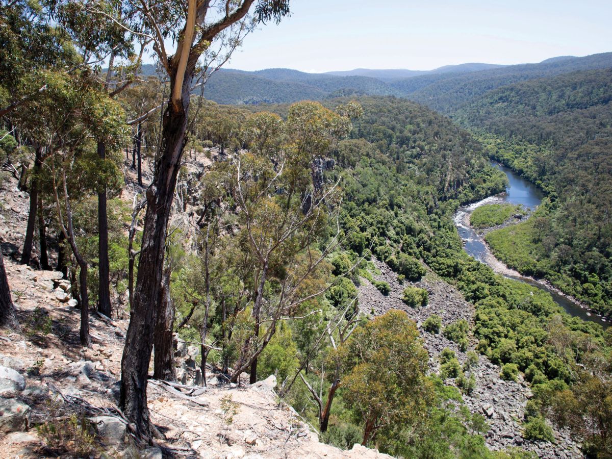 13 Incredible Hikes In Melbourne | Australian Traveller