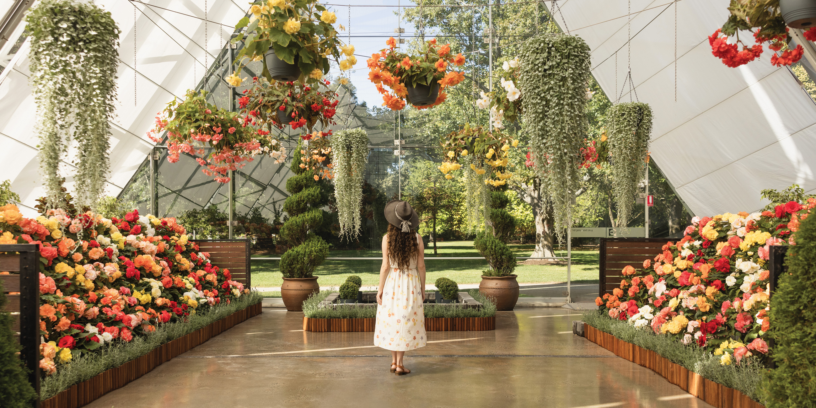 There's a giant Californian Redwood forest hiding in Victoria ...