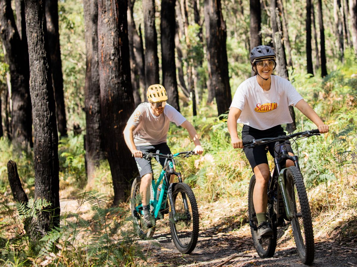 The Riesling Trail In Clare Valley: Everything You Need To Know ...