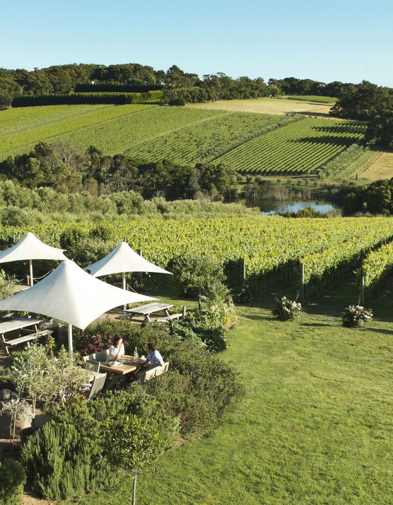 26 must-try cafes on the Mornington Peninsula