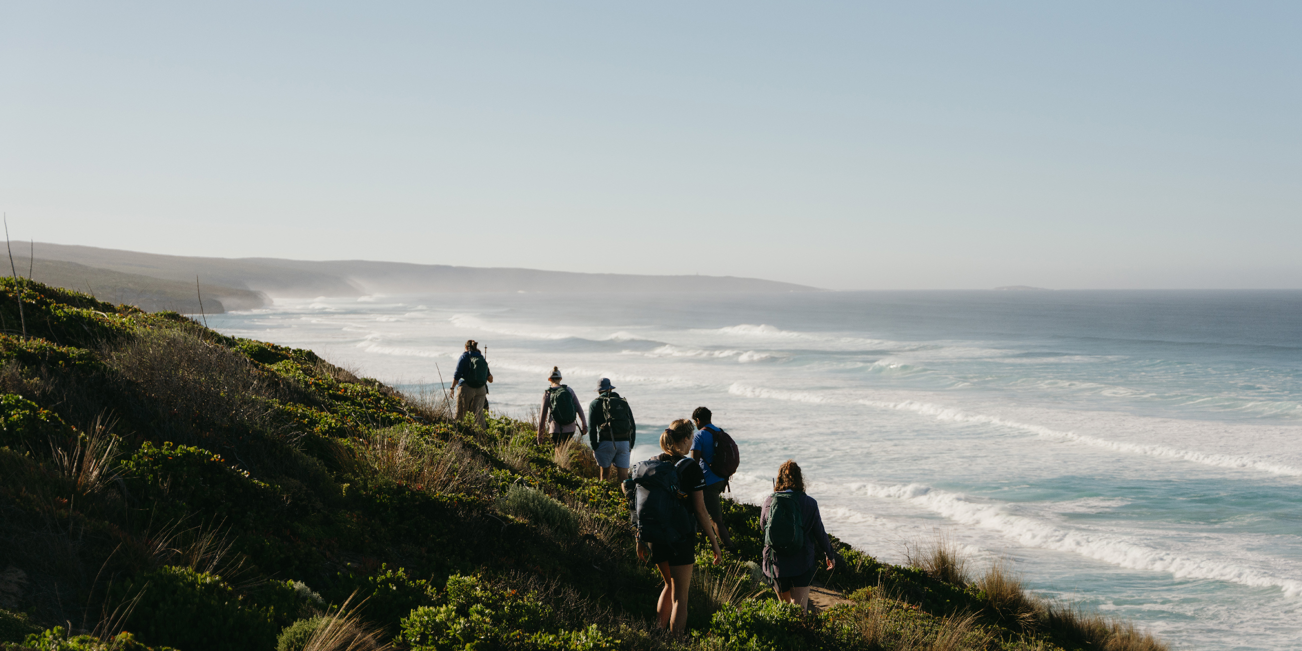 Are Hoop Snakes Real?