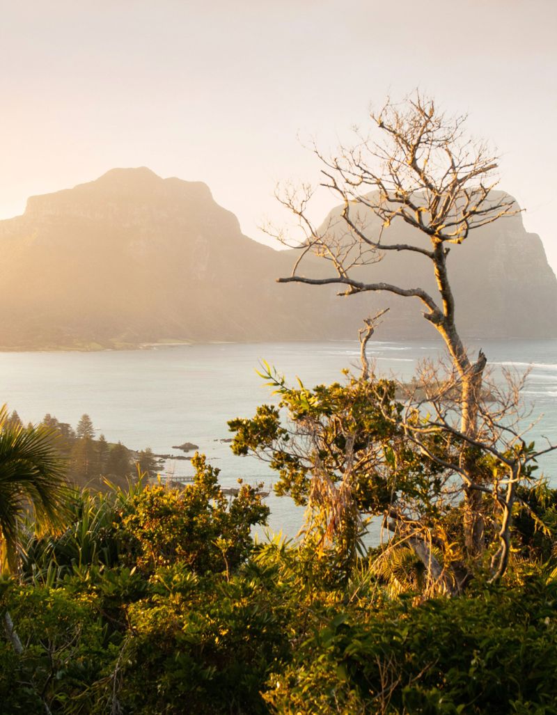 10 of the best things to do on Lord Howe Island