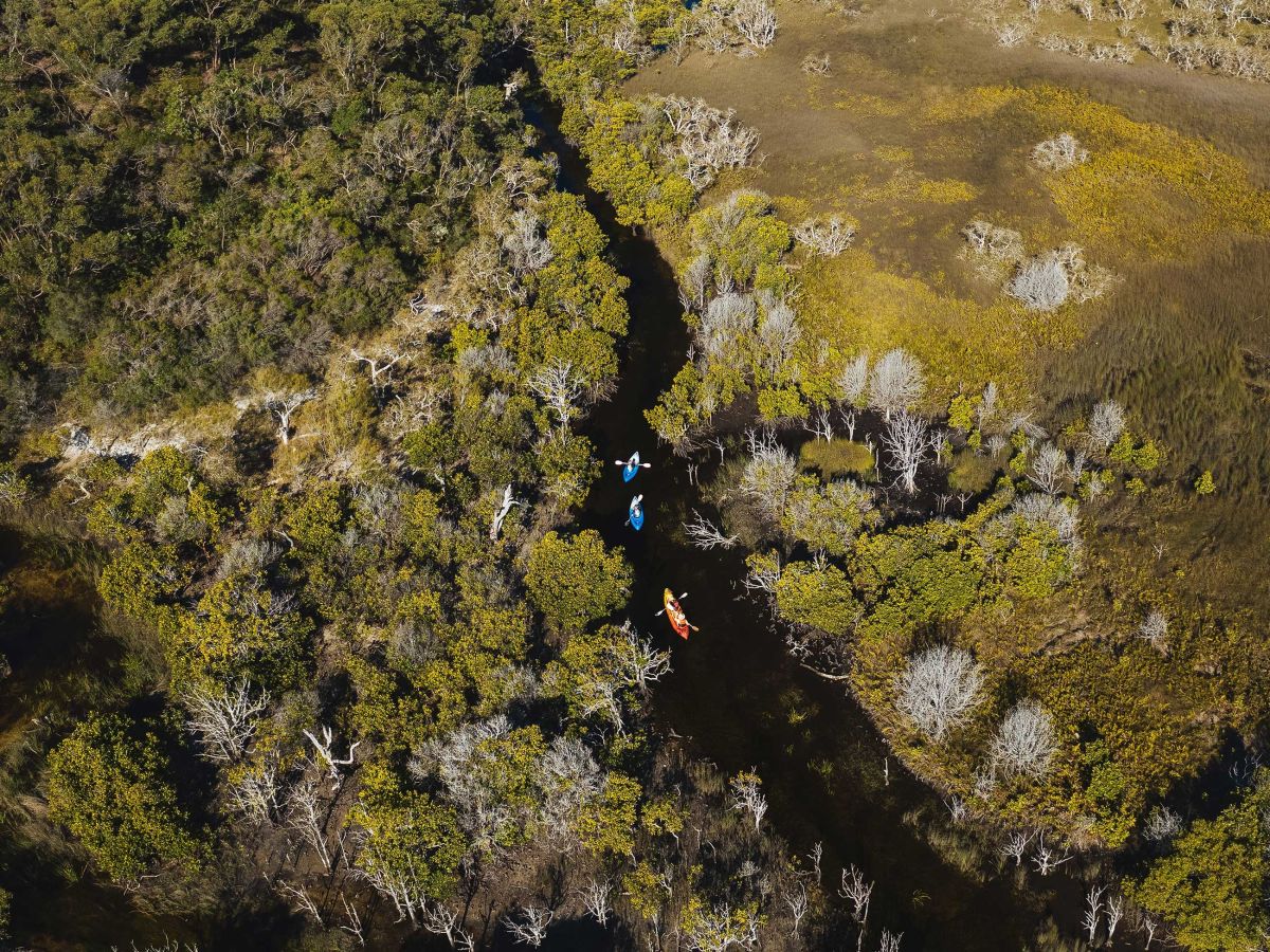 Ngaro Track: Queensland’s most spectacular new island hike