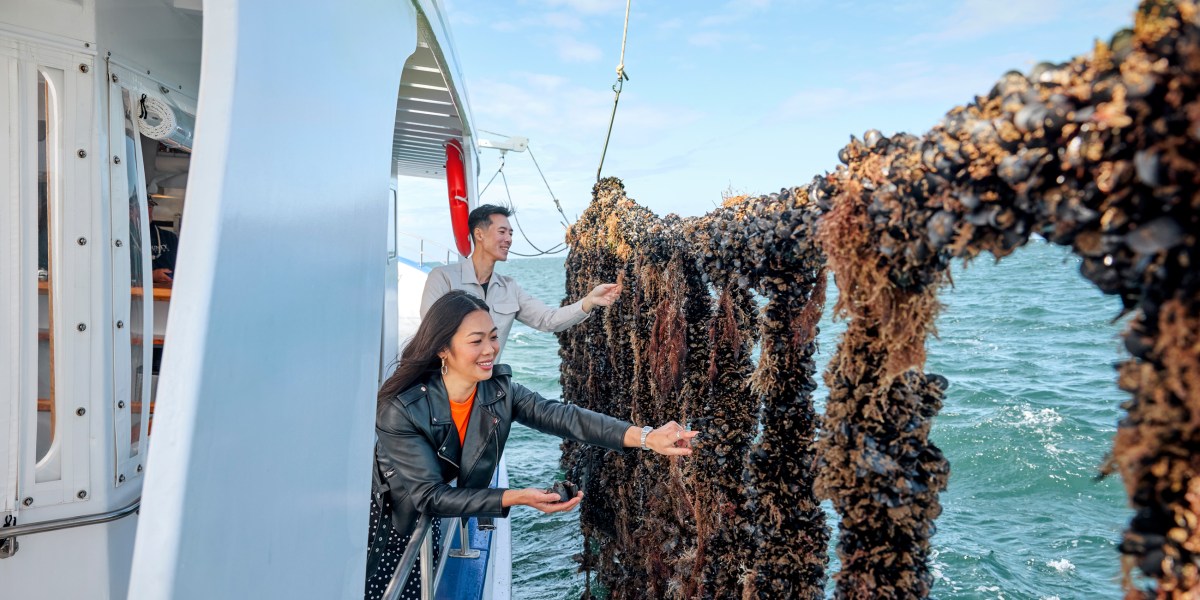 Portarlington Mussels Redefine Victoria’s Seafood Experience ...