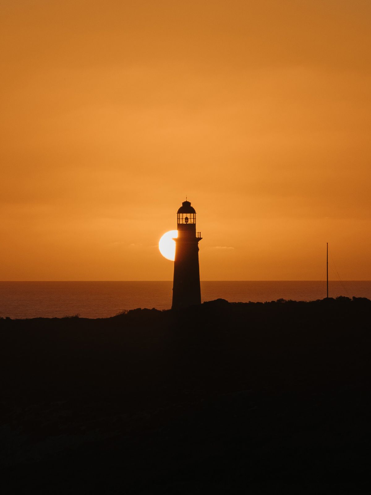 Are Hoop Snakes Real?