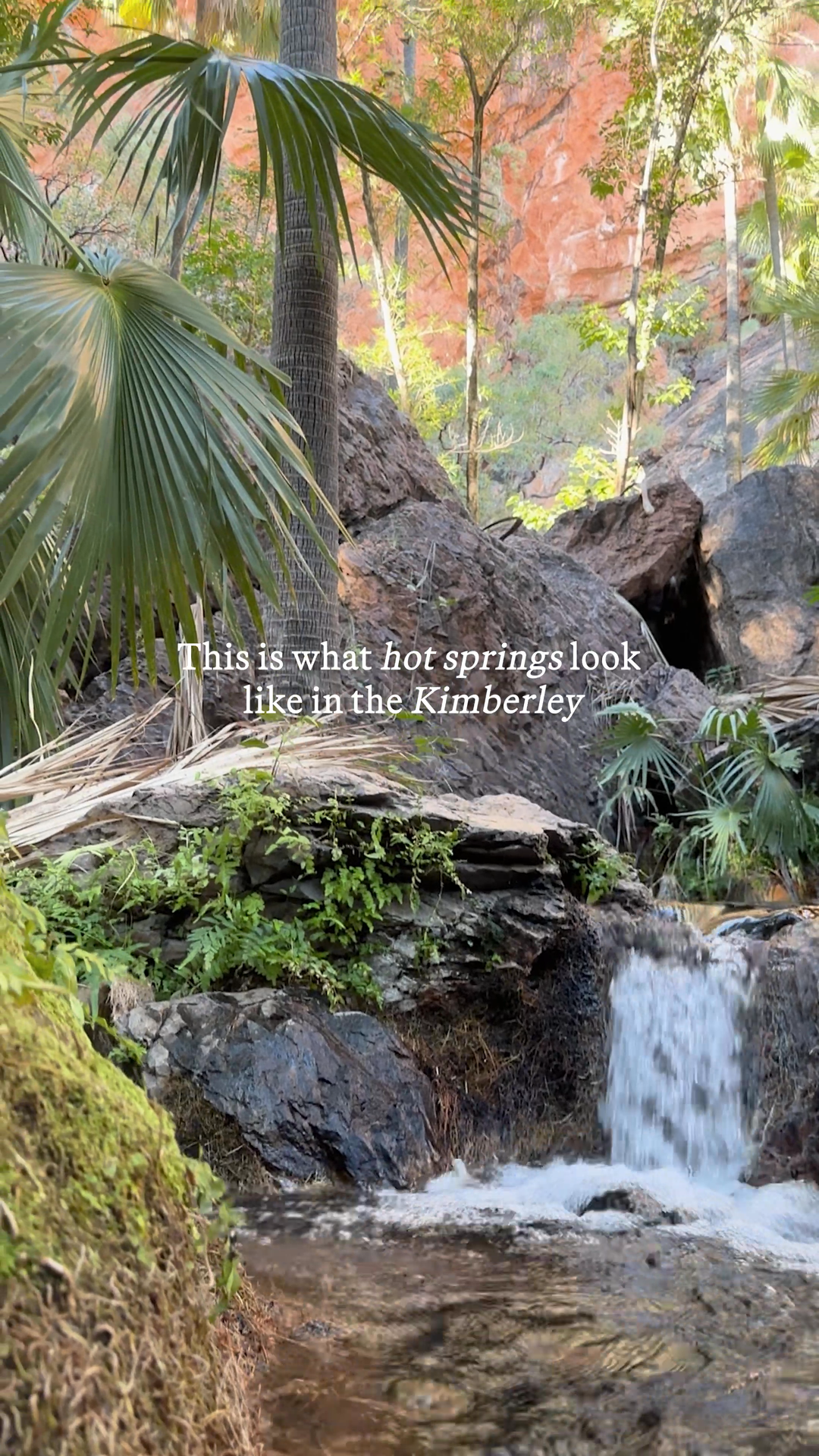 Discover Zebedee Springs: The Kimberley’s secret oasis - Australian ...