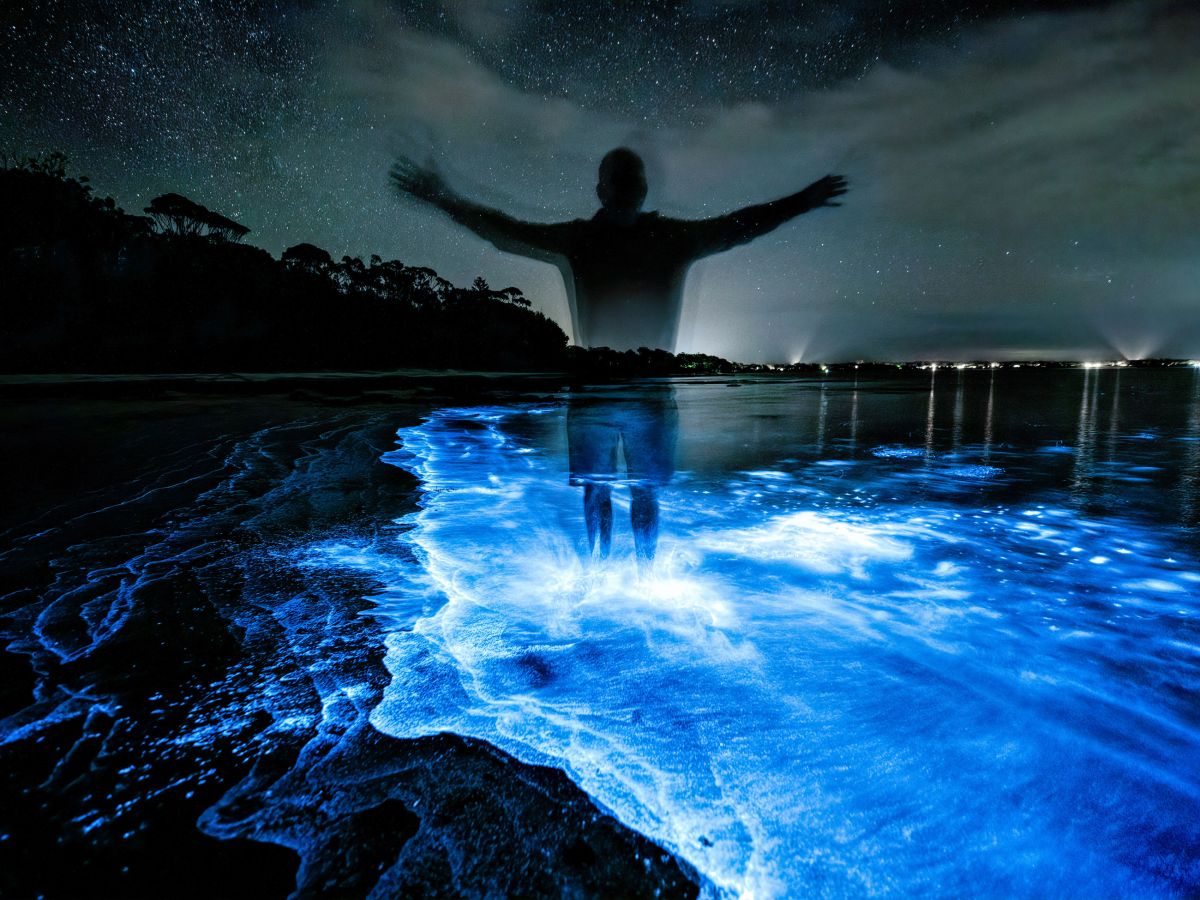 Where to see the best bioluminescence in Australia | Australian Traveller