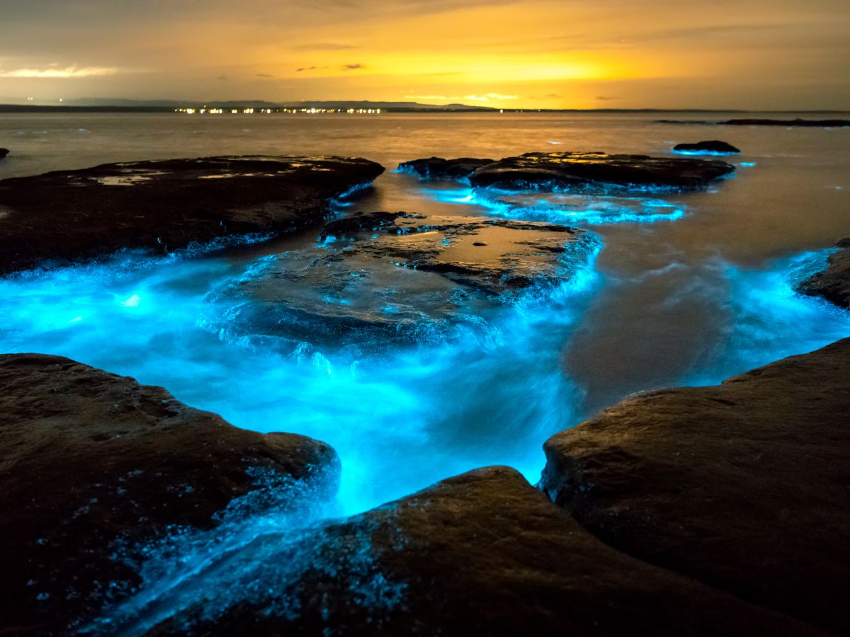 Where to see the best bioluminescence in Australia | Australian Traveller