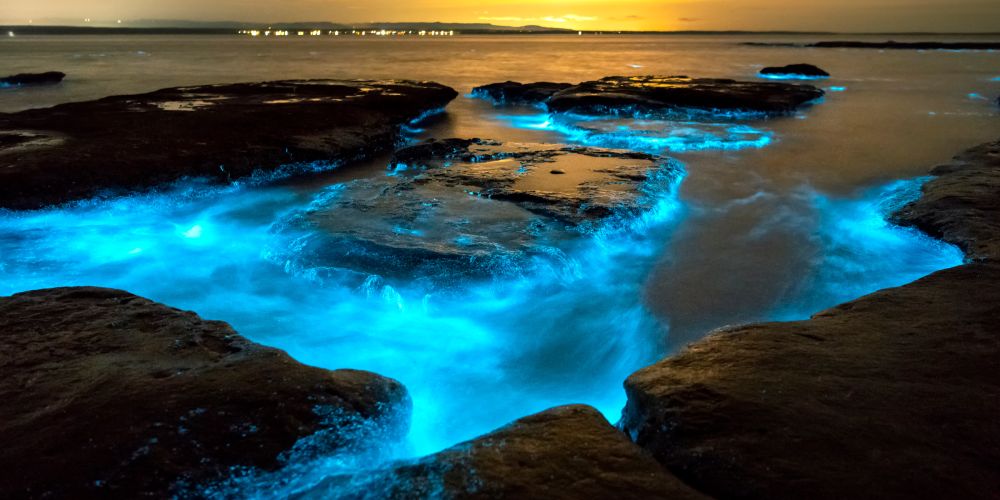 Where to see the best bioluminescence in Australia | Australian Traveller