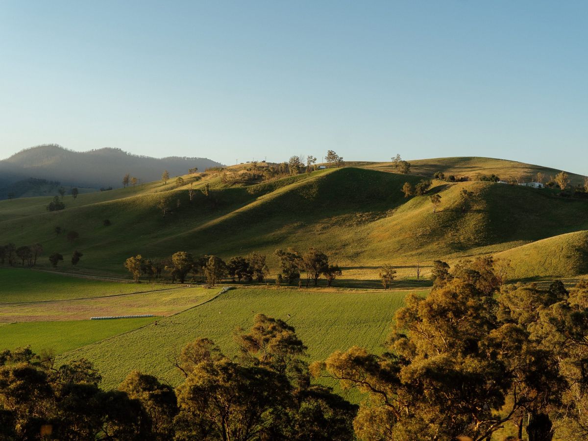 Buchan Caves is a geological wonder hiding in the heart of Victoria