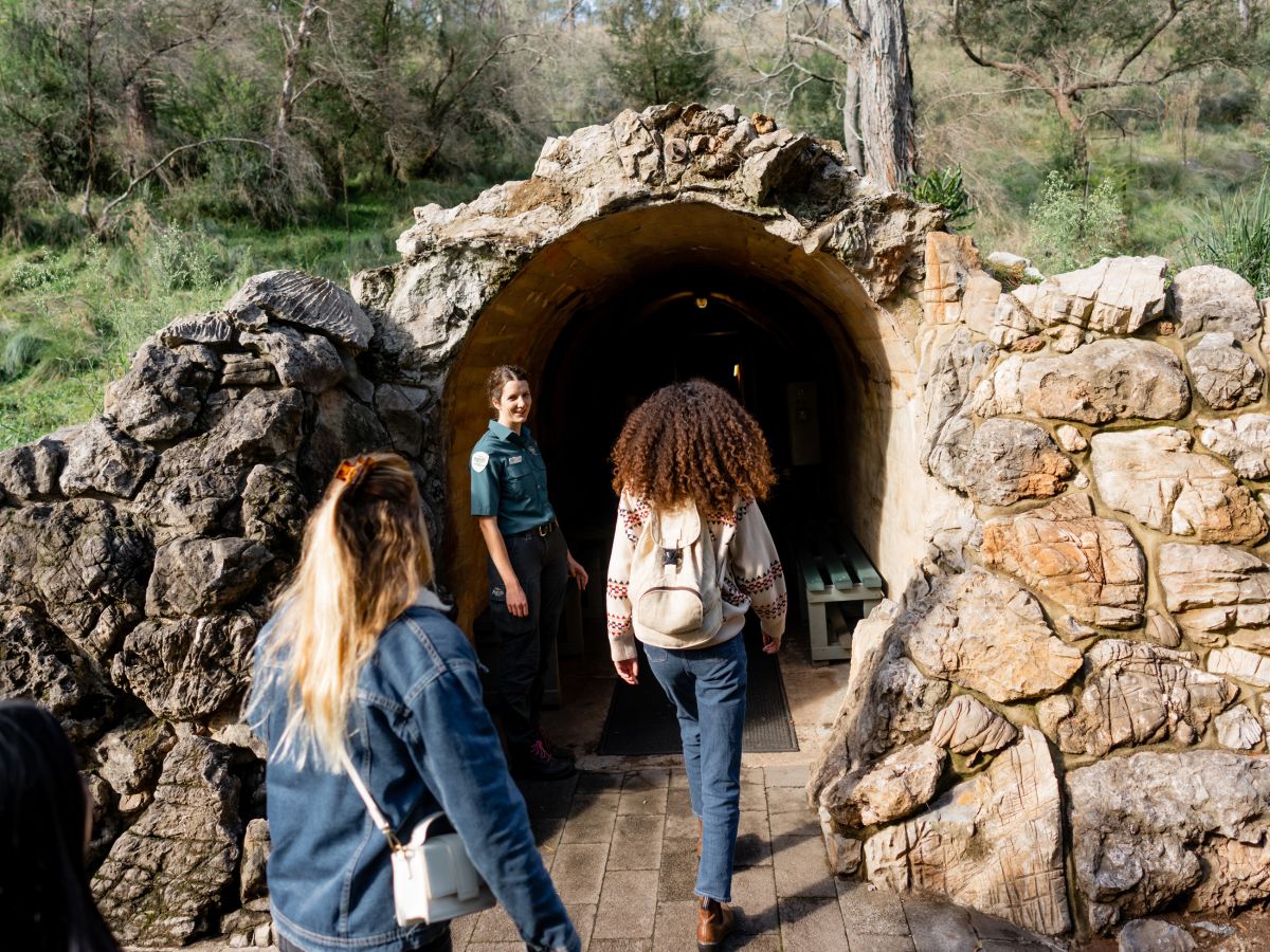 Buchan Caves is a geological wonder hiding in the heart of Victoria