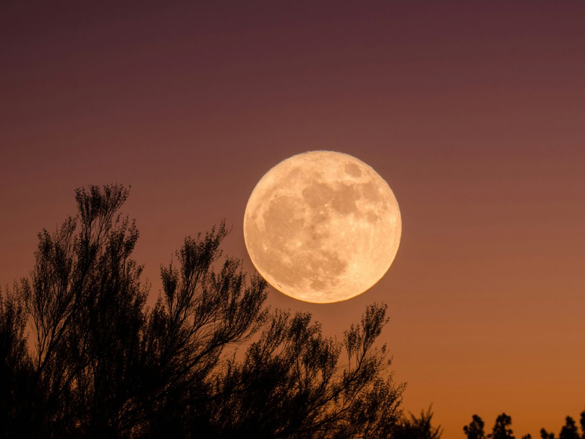 Tonight's supermoon is just the start of an epic celestial line-up ...