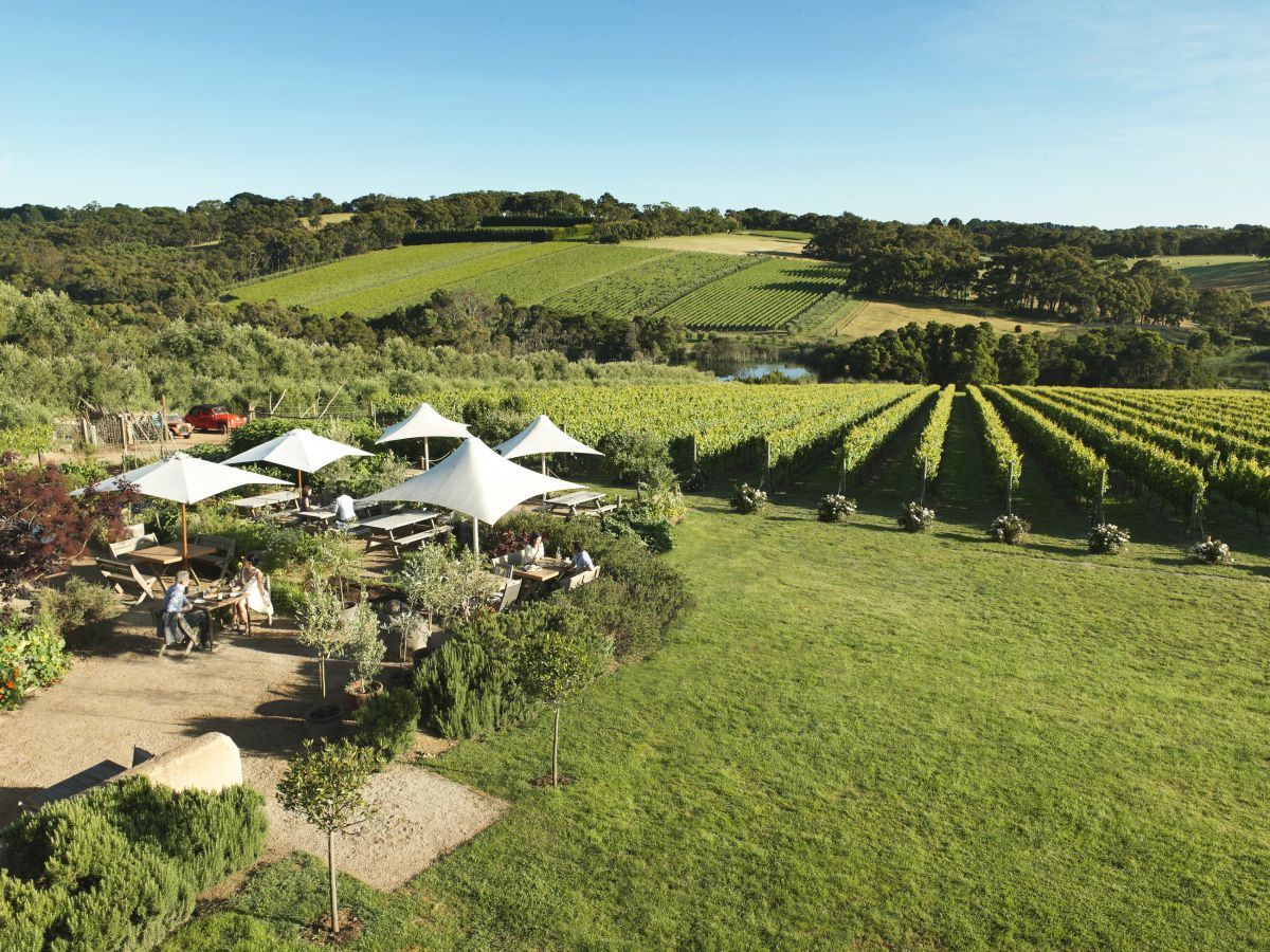 The Best Wineries In Geelong And The Bellarine Peninsula