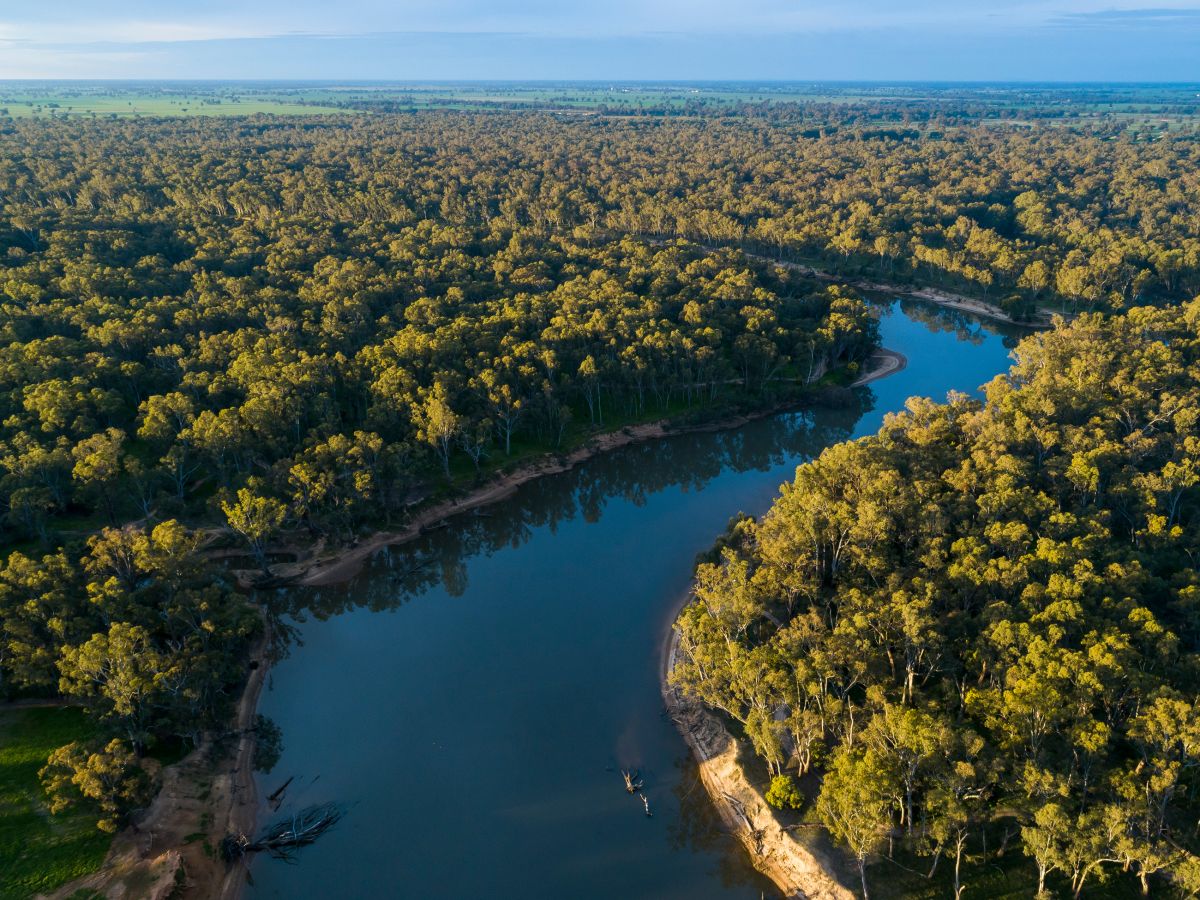 40 Top Things To Do In Canberra | Australian Traveller