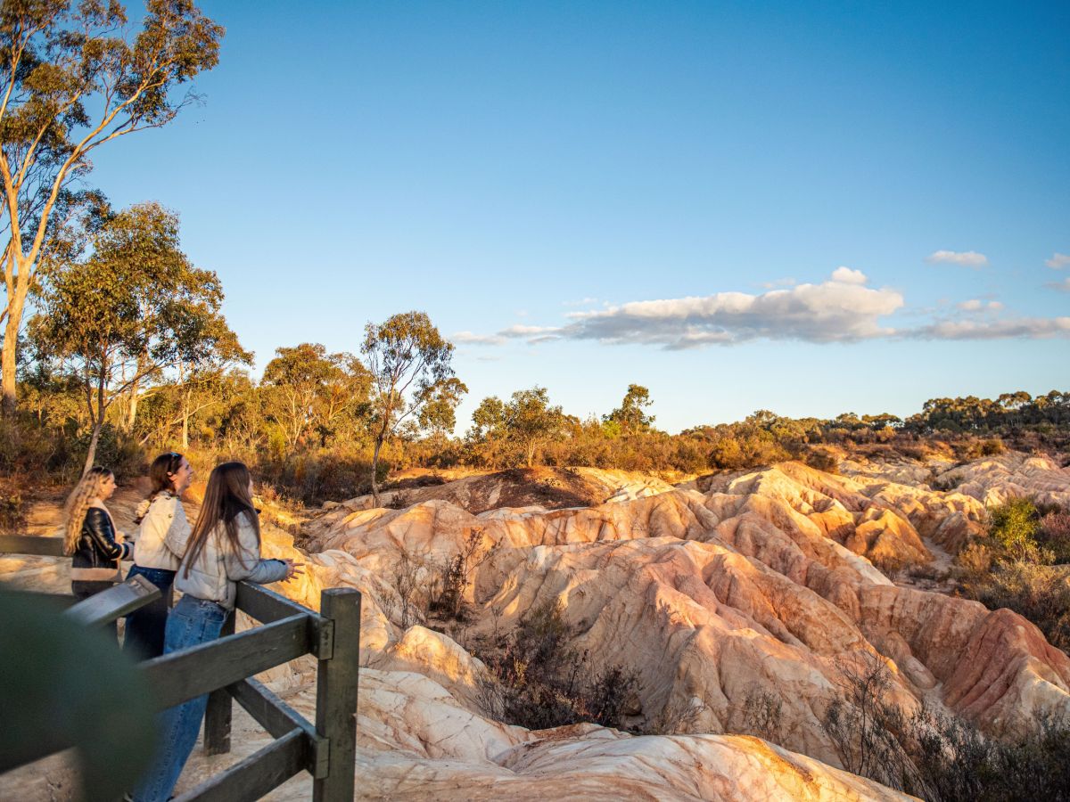 15 Adelaide Hills Wineries You Must Visit | Australian Traveller