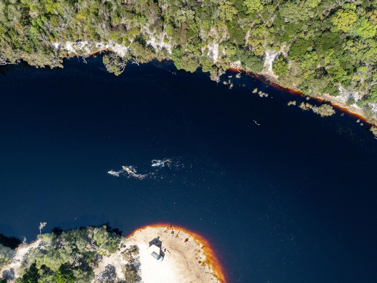 A much-loved Tropical North Queensland track has reopened - Australian ...