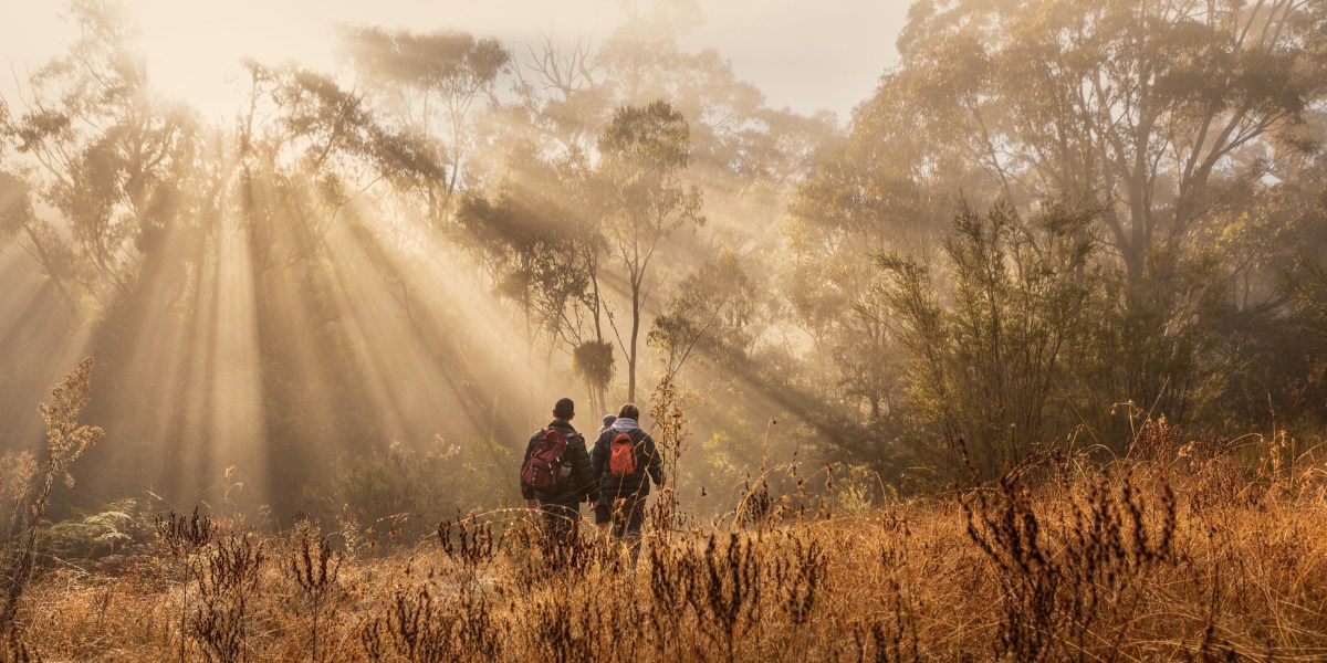 This new bushwalking trail lets you experience Canberra's wild side ...