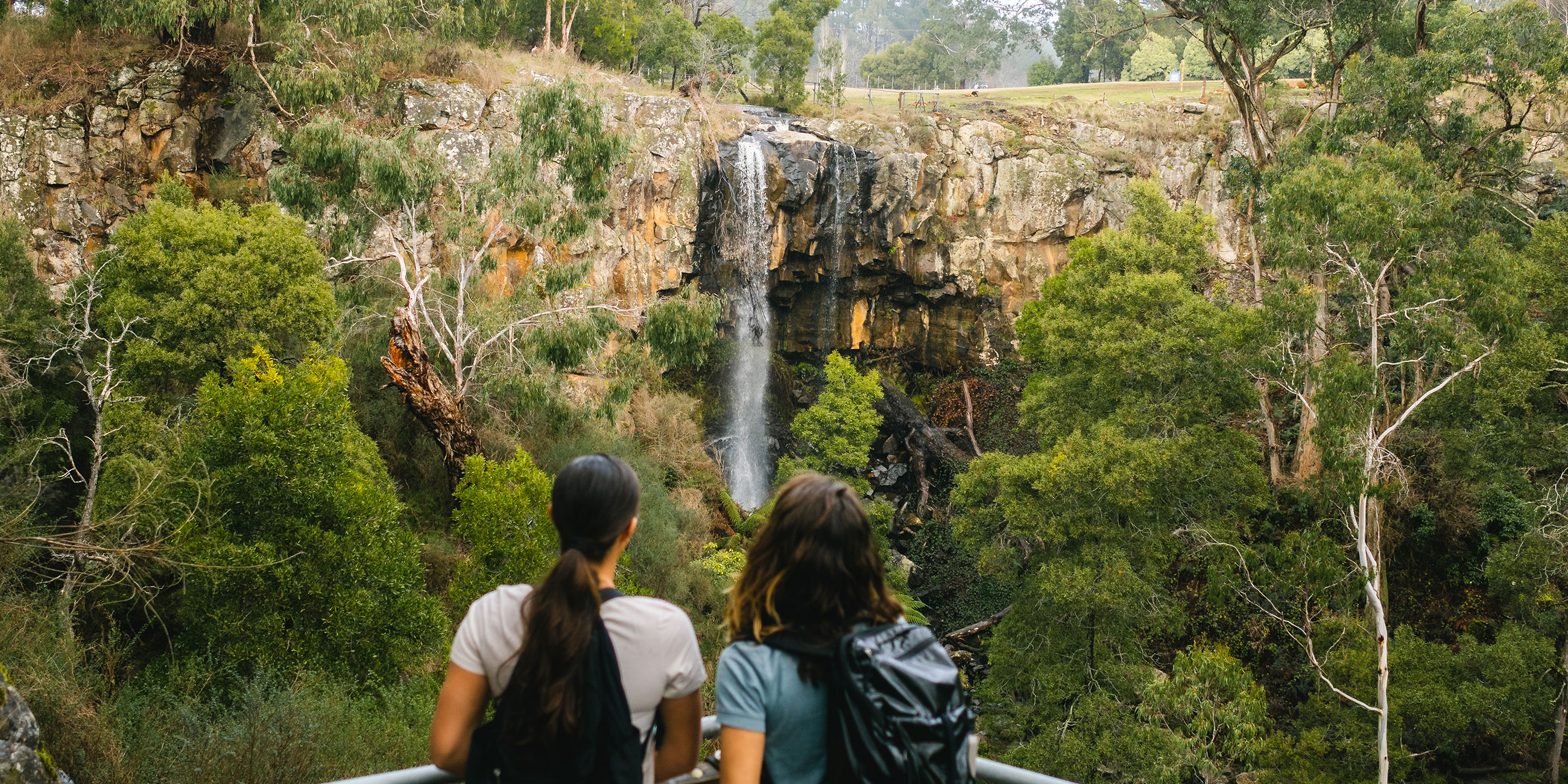 13 Incredible Hikes In Melbourne | Australian Traveller