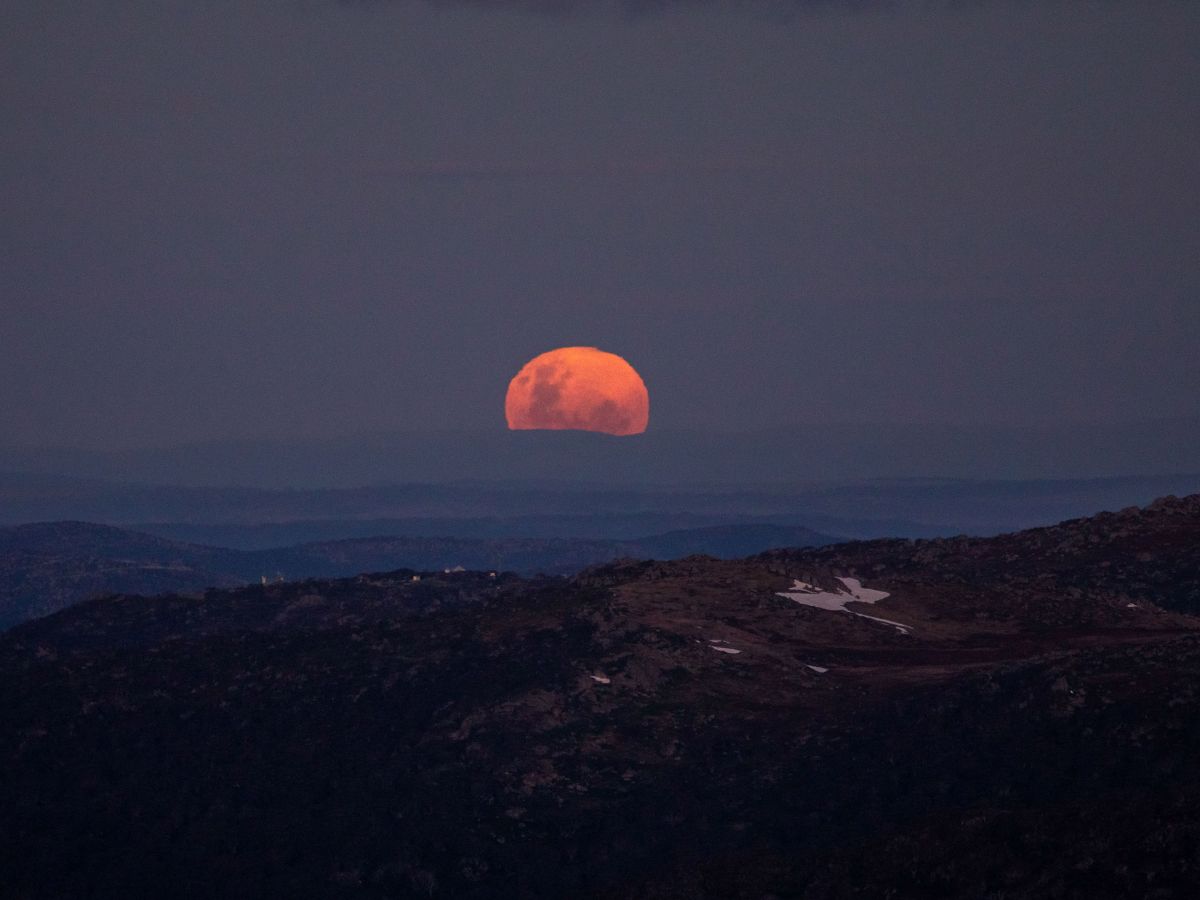 Qantas frequent flyers targeted in email scam - Australian Traveller