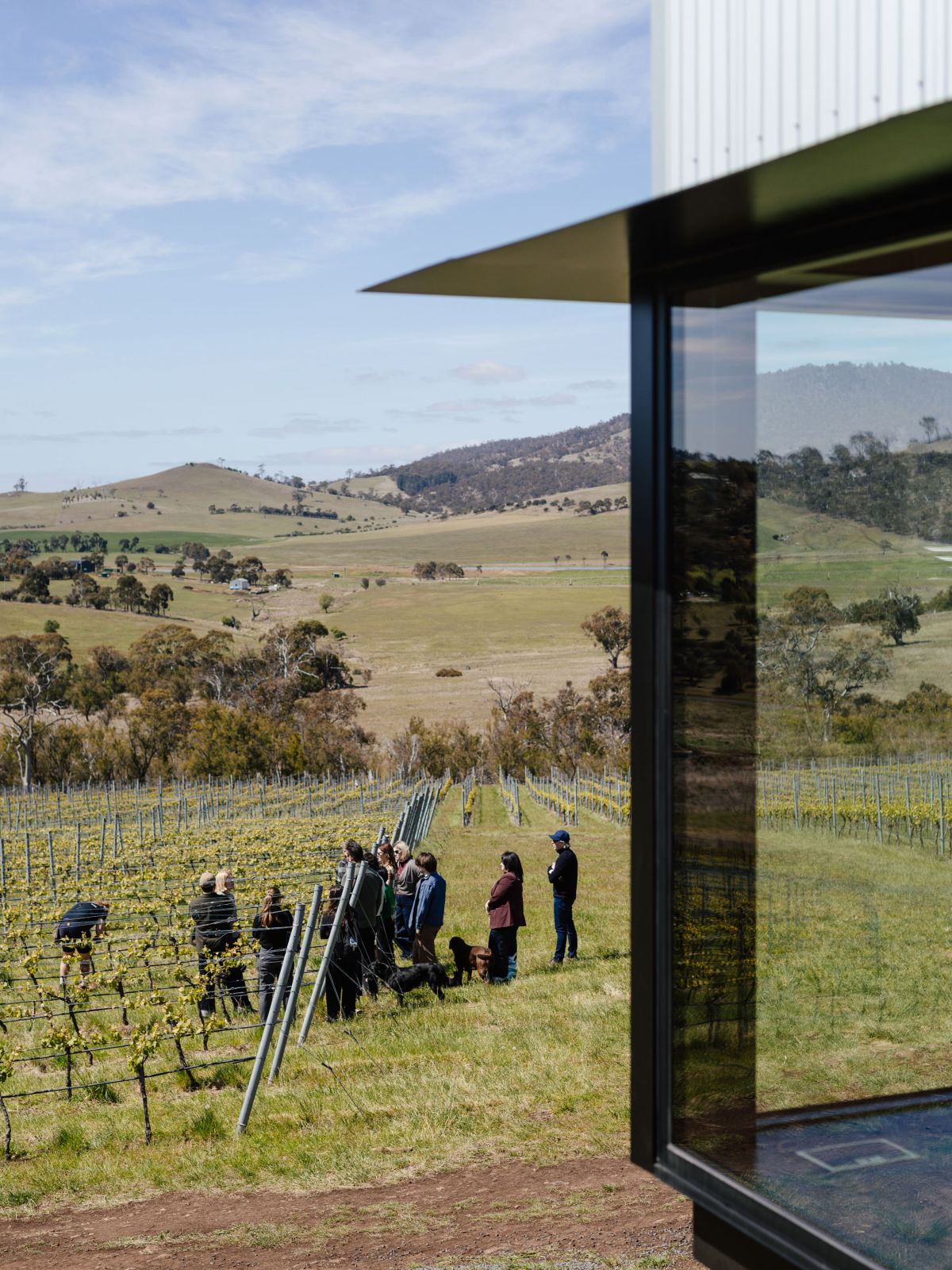 Winemaker of the Year opens Stargazer Tasting Room in Tasmania ...