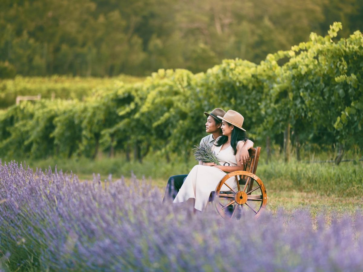This hidden Hunter Valley lavender farm just opened for summer ...