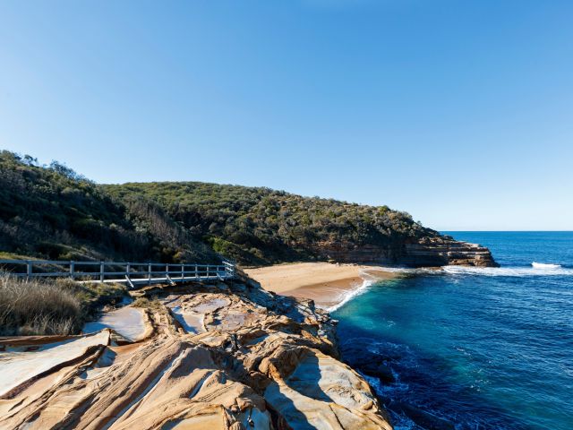 The new Central Coast hike with camping, workshops and a bush sauna