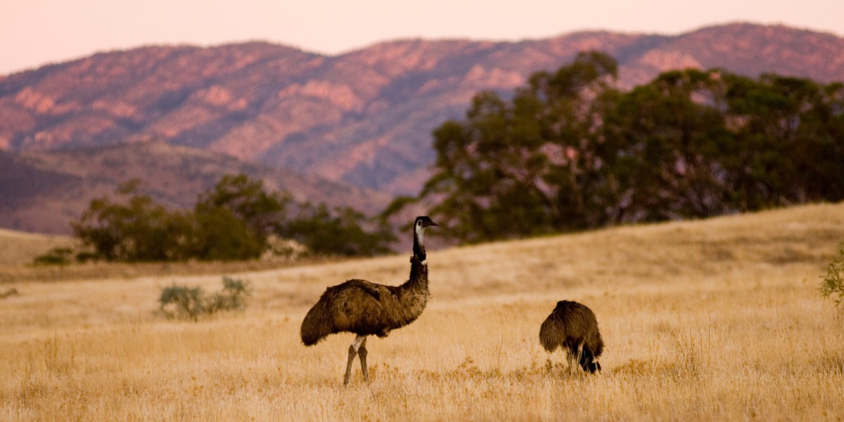 The Australian outback: A guide on where to go - and when in 2026