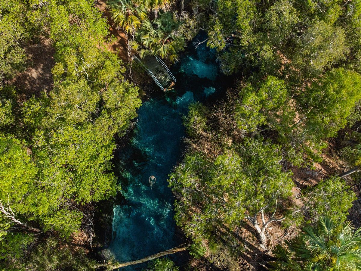 10 Incredible Things To Do in Parap, NT | Australian Traveller