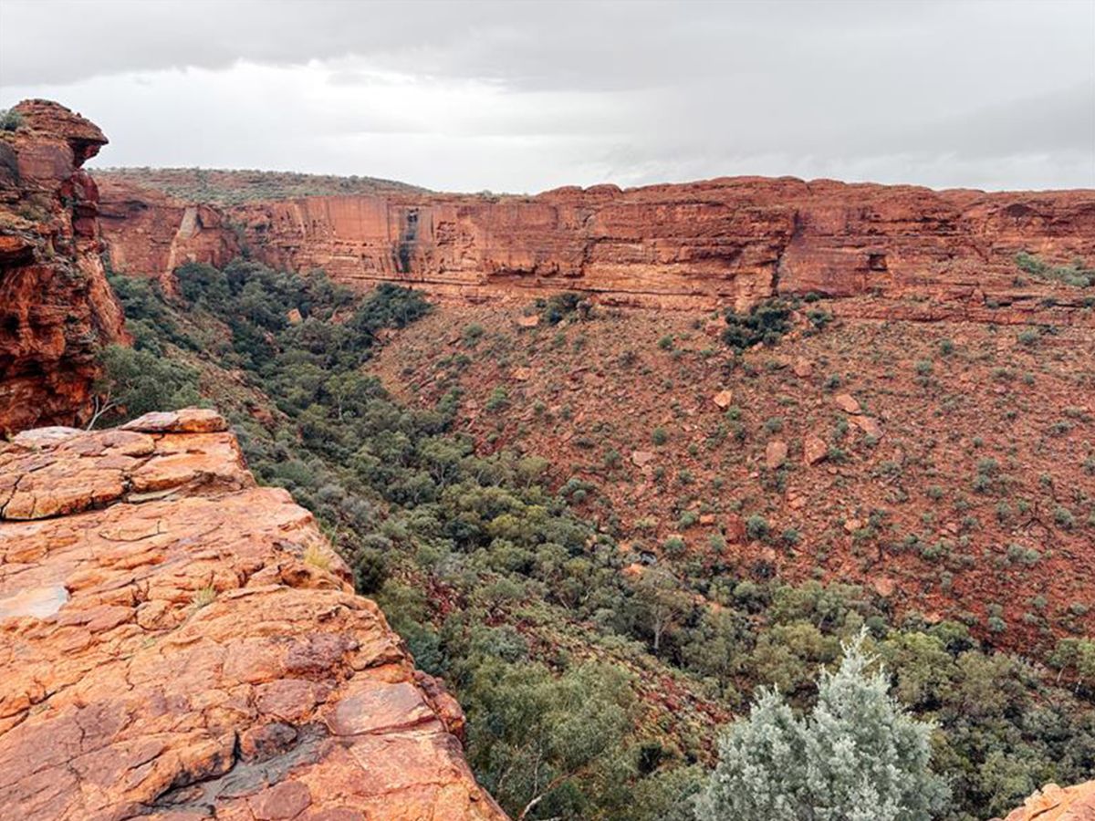 Why Kings Canyon Rim Walk is better in low season